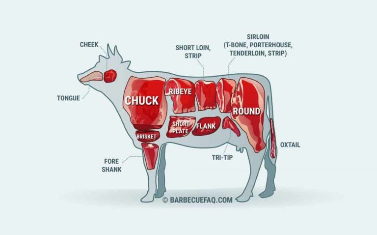 Argentinian Steak Cuts - Argentinian Steakhouse